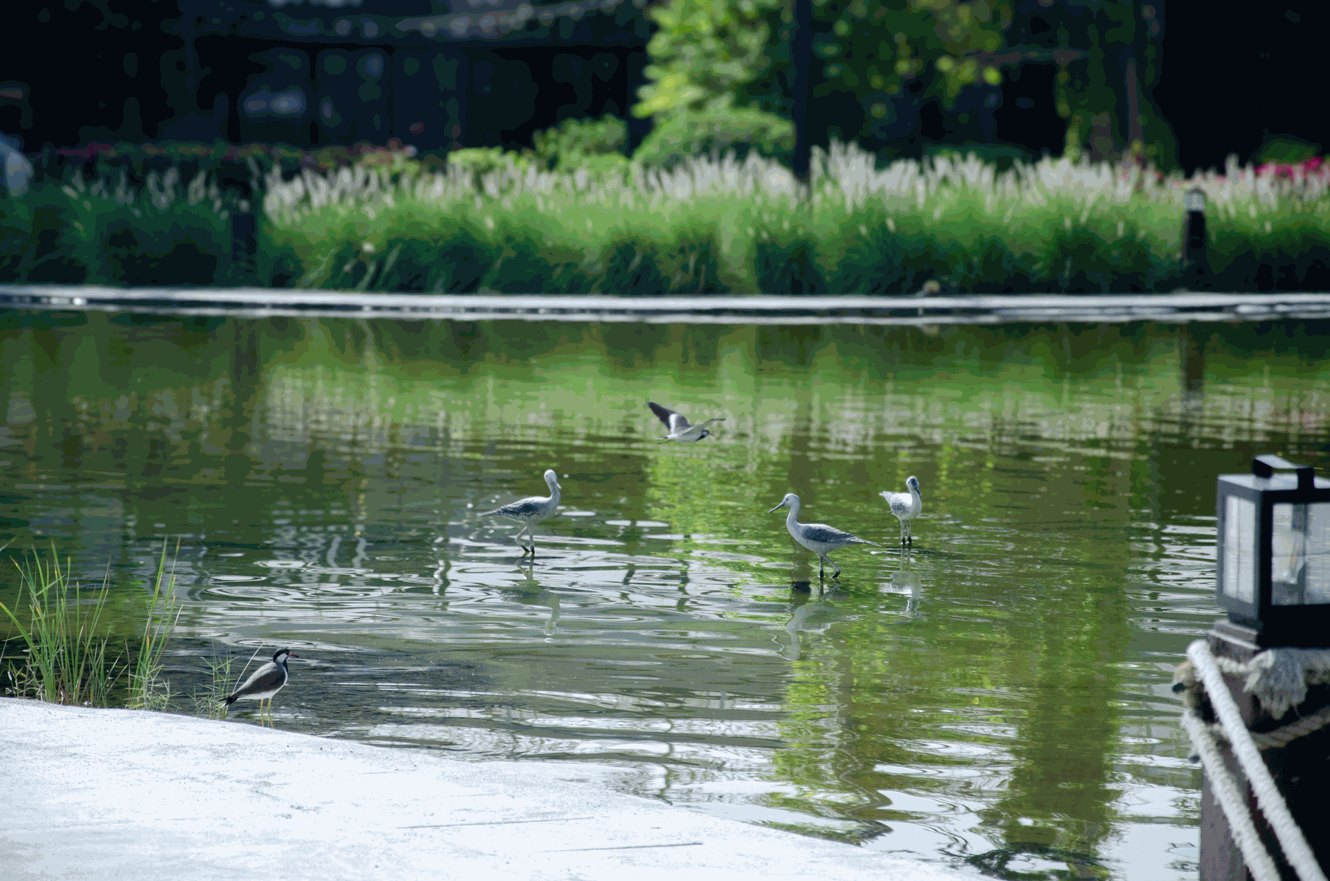 PROJECT REFERENCES | Projects